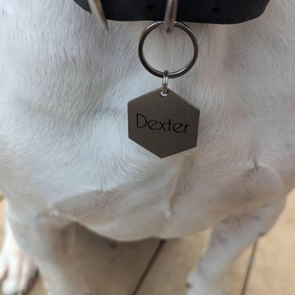 Egyptian Hieroglyphics Pharoah Dog Tag, Egypt Keyring Keychain ...