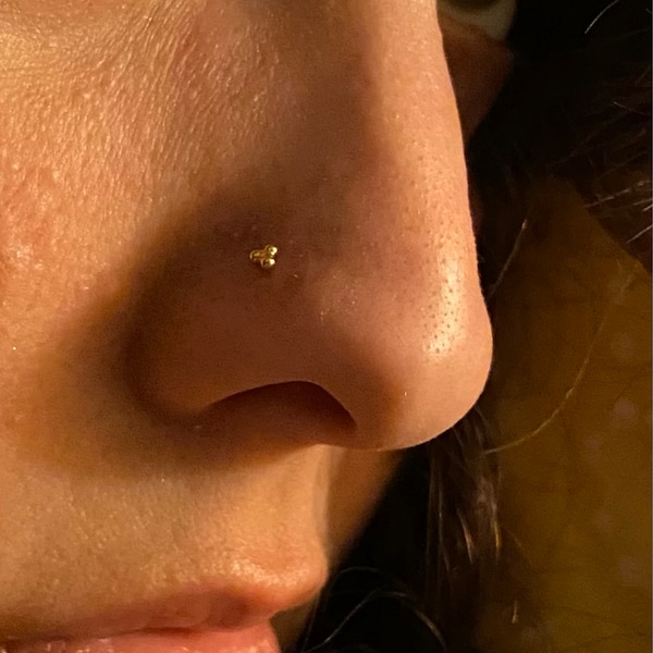 Bug Nose Stud, Insect Nose Ring, Ladybug, Fly, Animal Unique Nose Screw ...
