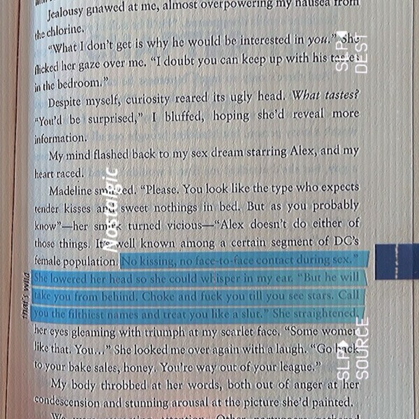 Smutty Good Time (3rd Edition) Sticker Sheet, Book Annotating Stickers ...