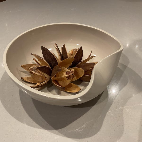 Natural WILD LILY Pods - Dried Brown & Cream Flower Pods for Rustic ...