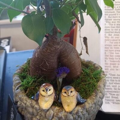 Tiny Baby Griffin Figurine TO ORDER Miniature Cute Griffin - Etsy