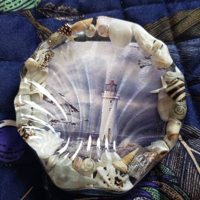 Sand Dollar Wall Art, Coastal Sea Life Ornament, Nautical Window Decor ...