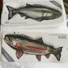 Pacific Salmon - T-shirt - Fishing Apperal - Fly Fishing - Fish Art ...