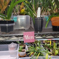 Pill Case, 7 Day Pill Box, Pill Container, 7 Sections, 7 Day, Pill Box ...