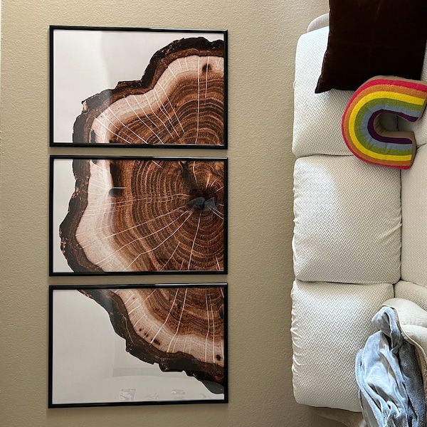Tree Ring Wall Art Set of 3, Printable Boho Decor, Neutral Minimalist ...