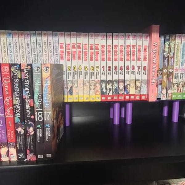 Shelf Riser for Displaying Two Rows of Books on a Single Shelf ...