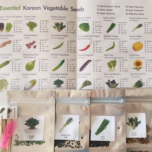 Non-gmo Korean Welsh Onion Seeds, Daepa (100+ Seeds) - Etsy