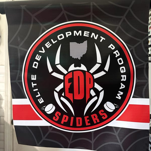 Player Hotel Banner Player Hotel Flag Baseball Hotel Sign Baseball ...