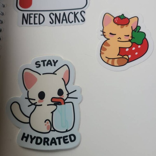 Stay Hydrated Matte Vinyl Sticker, Water Bottle Sticker, Car Decal ...