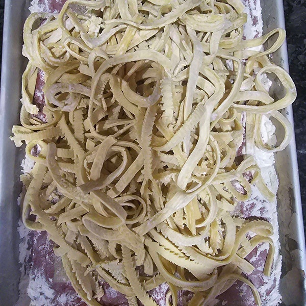 Philips Pasta Disc - Soup Pasta - Etsy