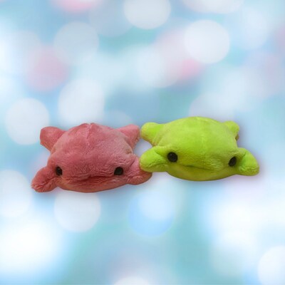 Barbie Pink Baby Bean Frog. Baby Bean Froggy Friend. Stress Relief ...