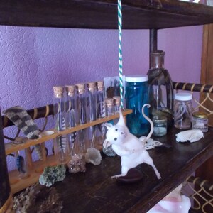 Hanging Mouse | Etsy