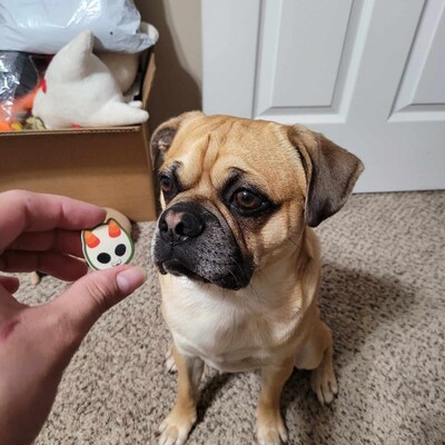 Digital PDF OMORI Paper Puppet - Etsy