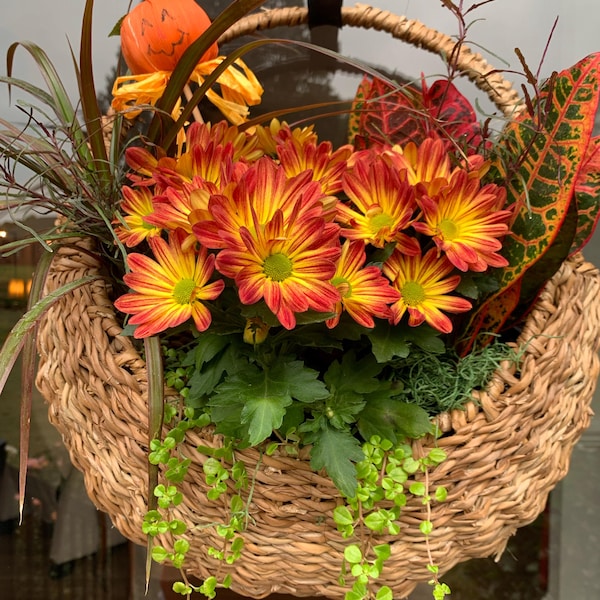 Handmade Woven Wall Basket Planter Wicker Wall Hanging Storage Basket Farmhouse Home Decor Door ...