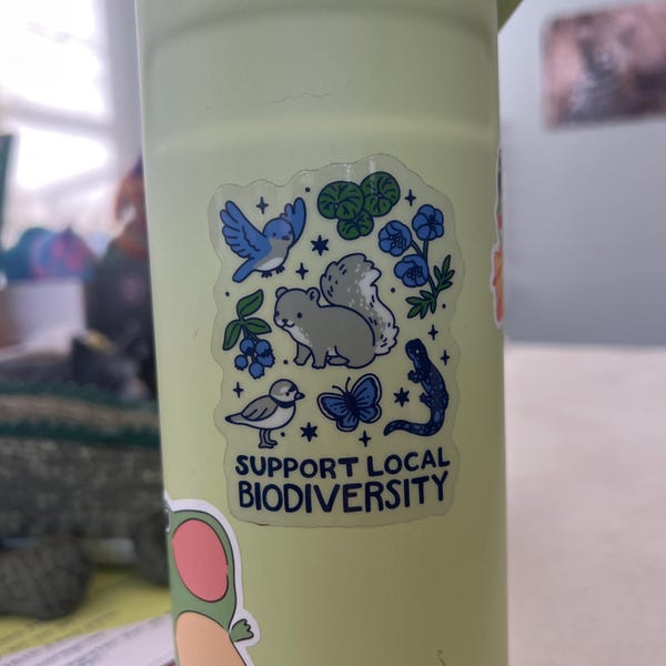 Support Local Biodiversity Clear Vinyl Stickers | Appalchia, Midwest ...