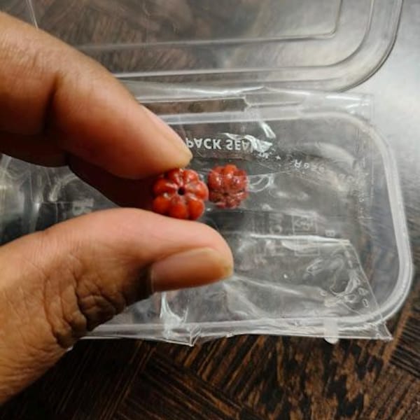 Expensive !!! Deep Red Coral Beads-genuine Red Coral Rondelle Shape ...