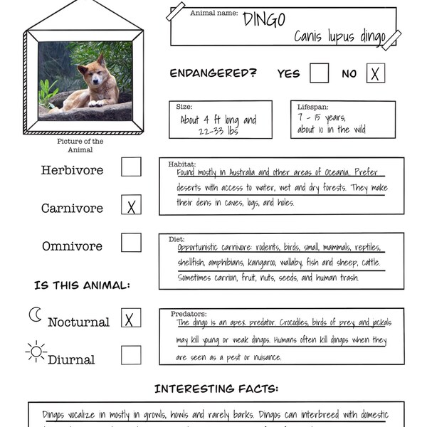 Field Trip Report Printable Instant Download, Digital Download, Fill in ...