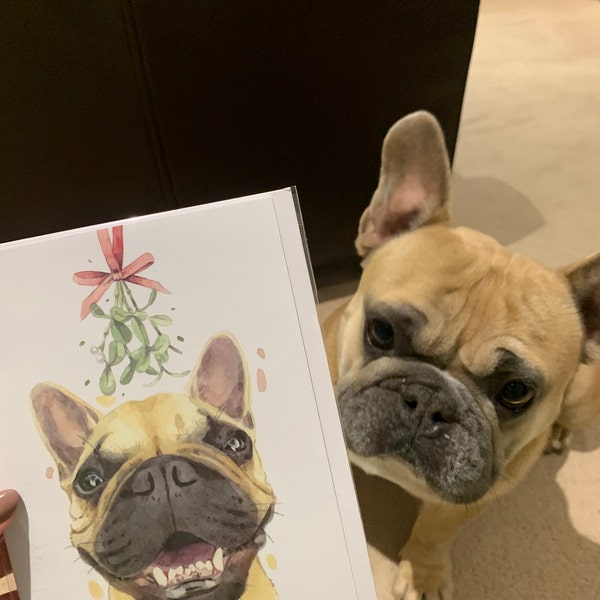 Pack of 5 French Bulldog Christmas Card, Xmas Frenchie Holiday Greeting ...