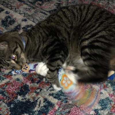 Heavy Duty Kick Sticks, Kick Sticks, Kitty Kickers, Catnip Toys, Cat ...