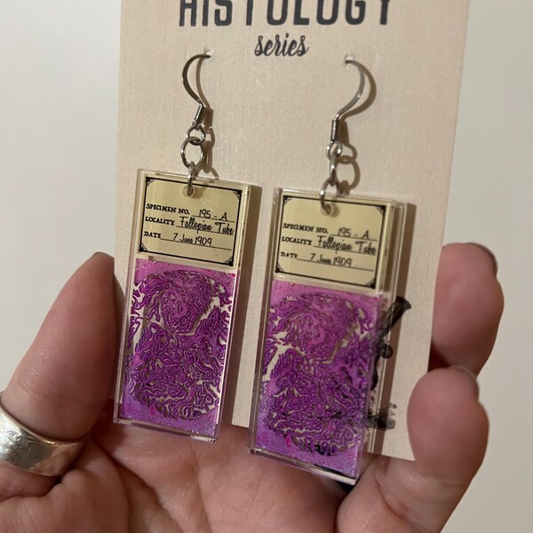 Mouse Brain Acrylic Microscope Slide Ornament - 3.5” - Etsy