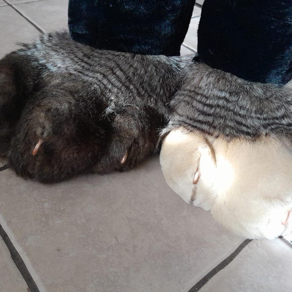 Plantigrade Feet Hoof Indoor and Outdoor Pattern PDF DOWNLOAD - Etsy