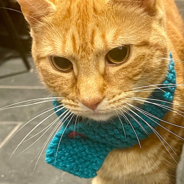 The Hand Knitted Toggle Cat Scarf - Etsy