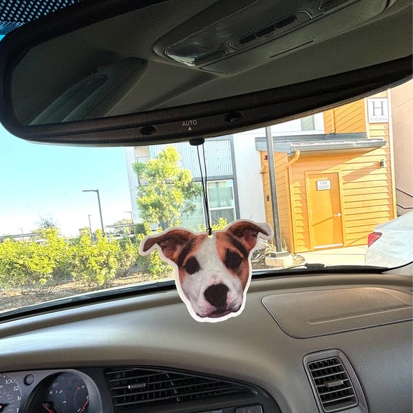Funny Air Freshener Flaming Eye Freshener Cute Air Freshener Cool Air ...