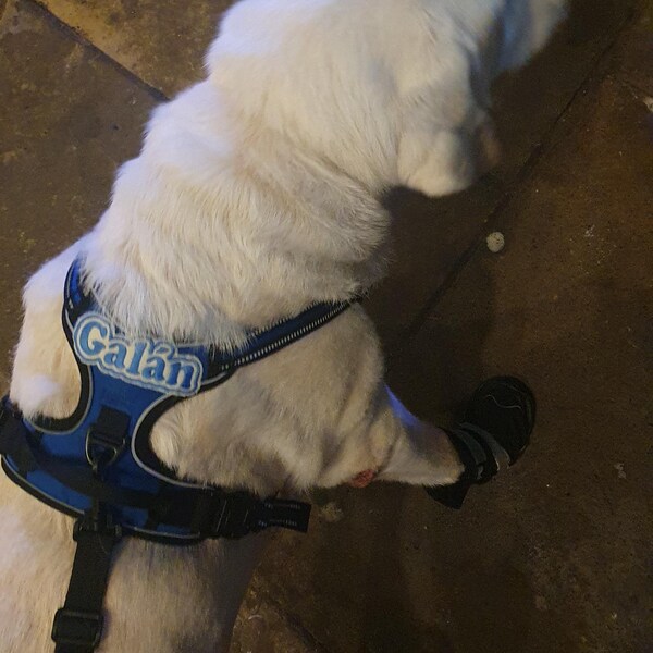 Somaliland Flag Stickers in 5 Sizes Birthday Party Gift Bag Sticker ...