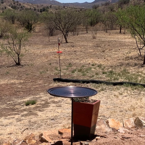 20” Rust Bird Bath With Stand - Etsy