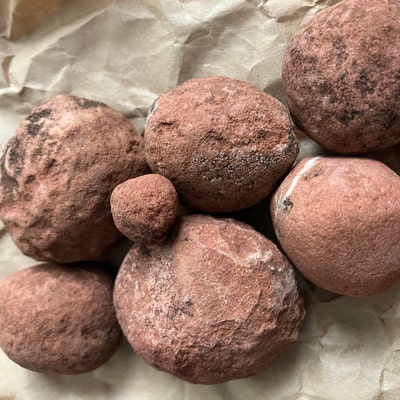 Crystal Moon Tree of Life Window Suncatcher, Home Decor, Gift for Her ...