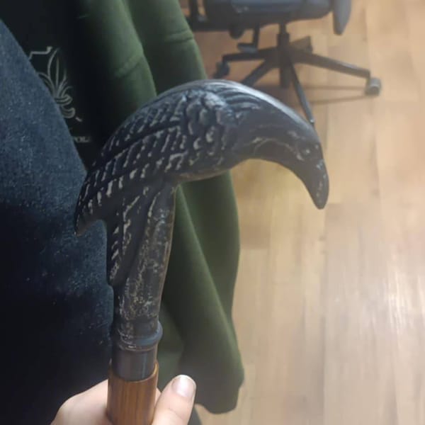 Rare Victorian RAVEN Handcrafted Walking Stick Cane-al Black Steampunk ...
