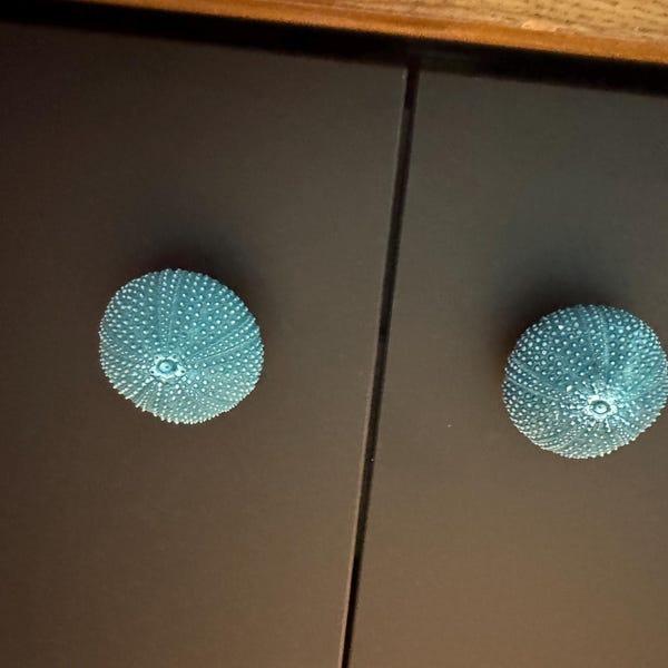 Shell Knobs Beach Knobs and Pulls Beach House White Knobs Drawer Knobs Cabinet Knobs Kitchen ...