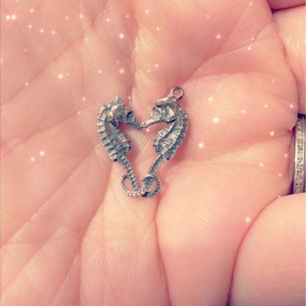 Little Pygmy Seahorse Heart Charm, Love, Hippocampus, Fish, Seahorse ...