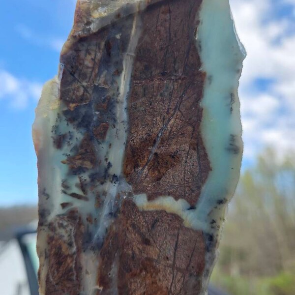 Birds Eye Rhyolite - Etsy