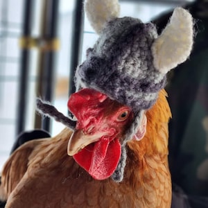 Crochet Pattern Bonnet for Chickens Sunday Bonnet Little - Etsy