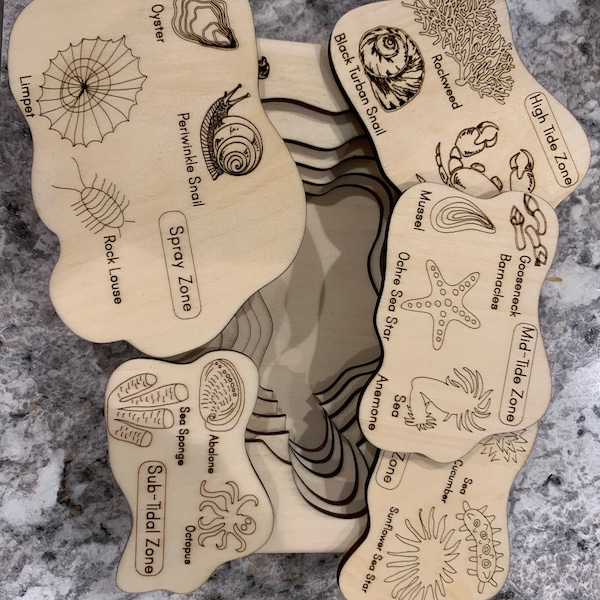 Tidepool Layered Puzzle, Ocean Wooden Puzzle, Montessori Wooden Puzzle ...