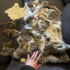 Beautiful Dark Color Rabbit Fur, Skin, Hide, Very Soft, All Natural ...