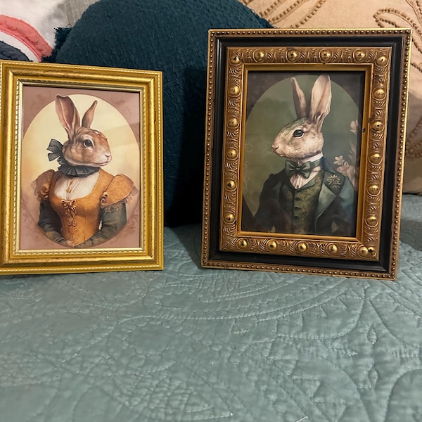 Lady Rabbit in Fancy Clothing, Well-dressed Rabbit, Elegant Bunny, Cute ...