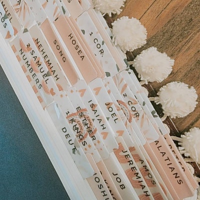 Aladdin Color Palette Procreate Color Palette Digital Color Palette - Etsy