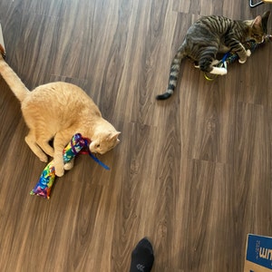 Large Cat Kicker Toy With Ribbons. 12 to 13 Long. Quality Catnip Silver ...