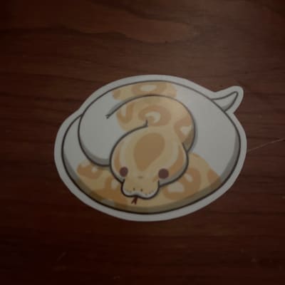 Cute Ball Python Stickers, Ball Python Morphs - Etsy