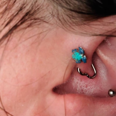 16G Tiny Frog Internally Threaded Cartilage Stud/daith Studs/tragus ...