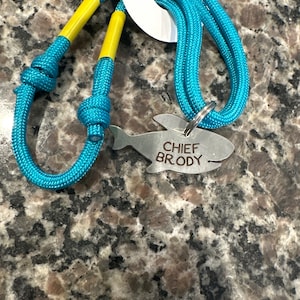 Plectrum Dog Tag, Guitar Pick Id Tag, Musician Pet Tag, Rock Id Tag ...