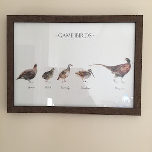 Watercolour Game Bird Print, British Country Bird, Pheasant, Quail ...