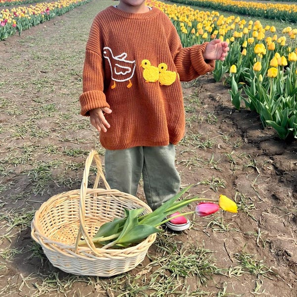 Hand Knitted Marching Ducks Baby&toddler Sweater,cute Ducks Hand ...