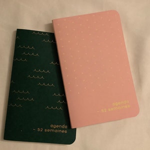 MINI NOTEBOOKS // SPRING - Etsy