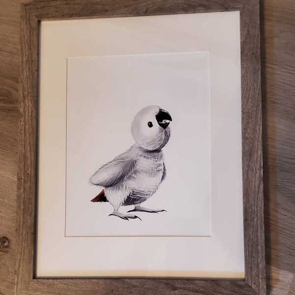 Australian Animal Print Set / Kangaroo Joey, Echidna Puggle, Wombat ...