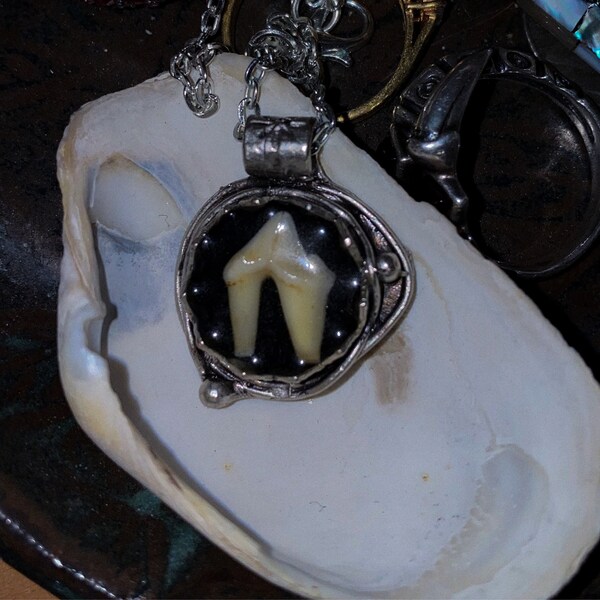 Cameo Tooth Necklace Real Bone Jewelry Baroque Gothic Taxidermy Vulture ...