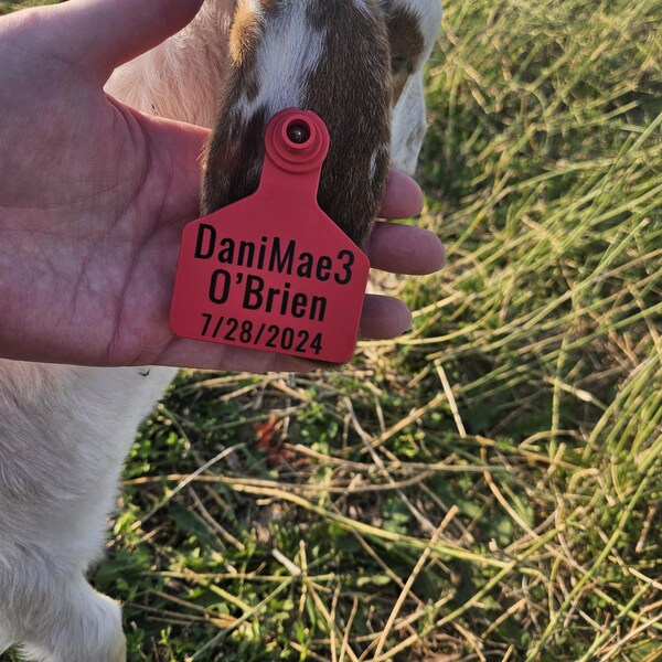 Turn off the Water Reminder Cattle Ear Tag Keychain - Etsy