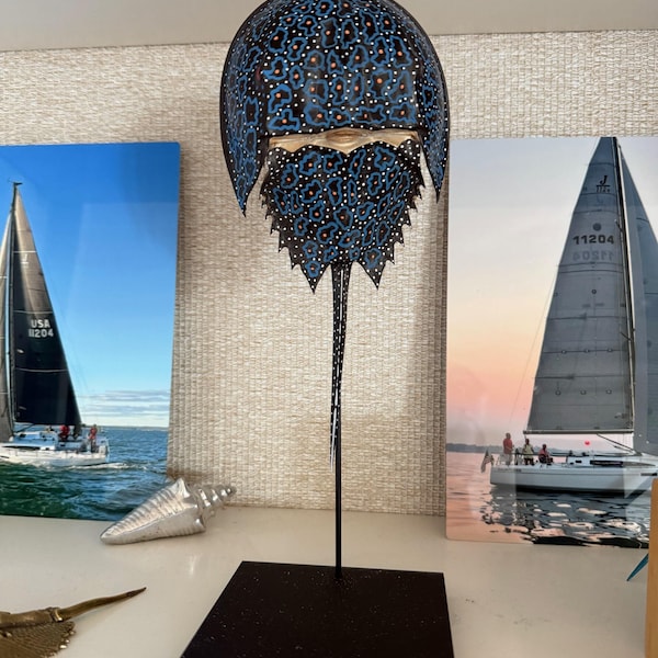 Center Post Base- Display Stand for Shells and Other Hollow Objects- 5 ...